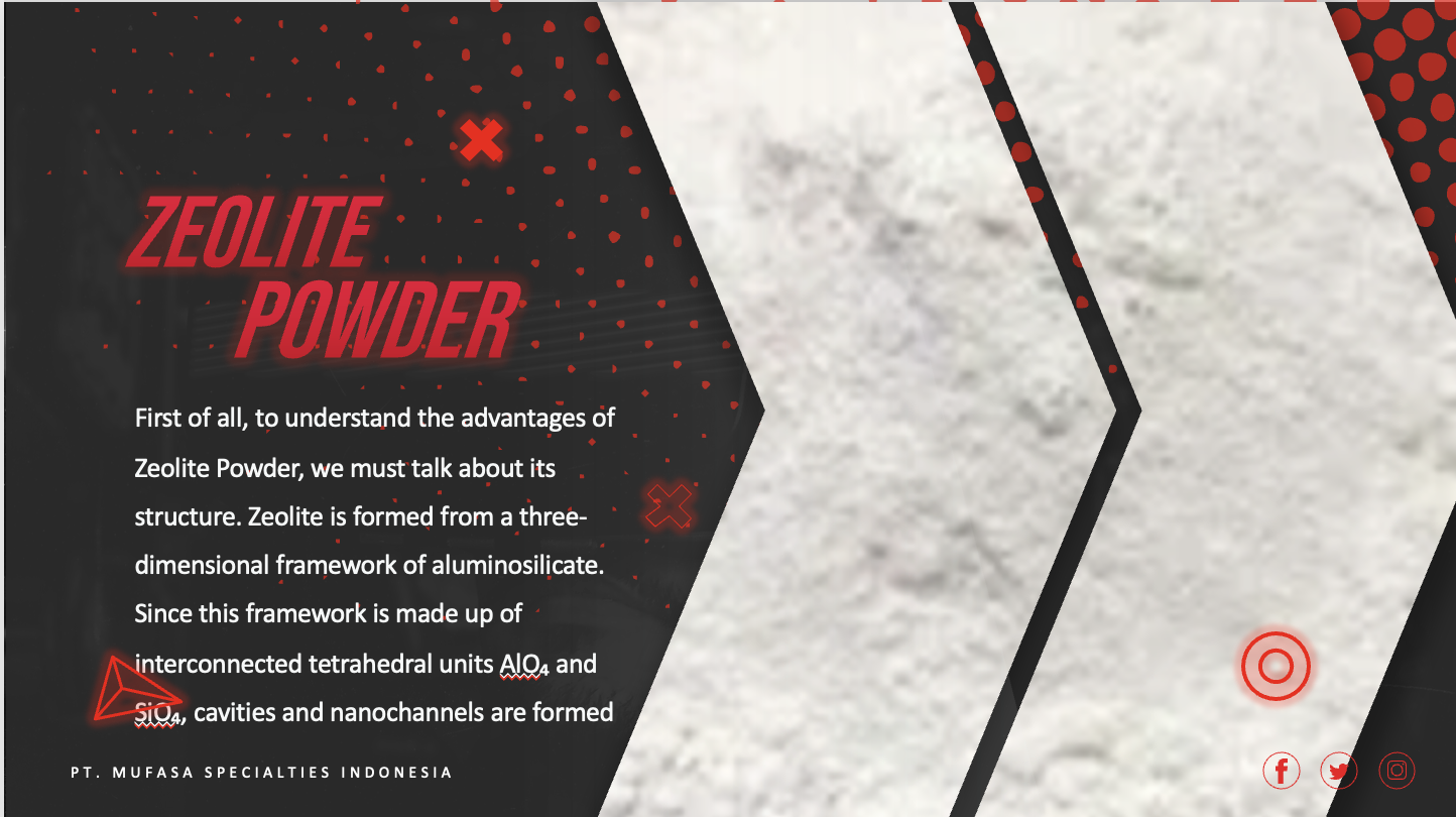 Jual Zeolite Powder - PT. Mufasa Specialties Indonesia
